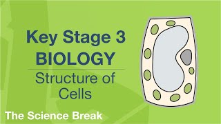 Key Stage 3 Science (Biology) - Structure of Cells | Doovi