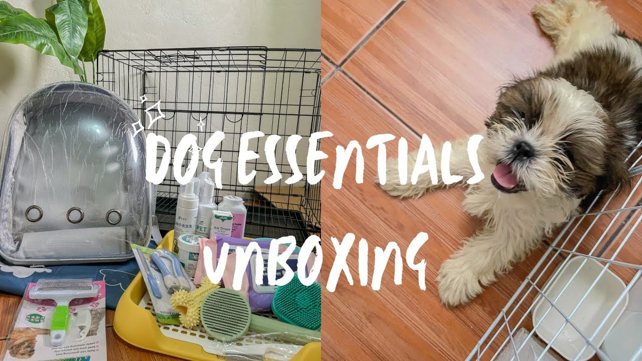 my furbabies essentials (shopee haul) - YouTube