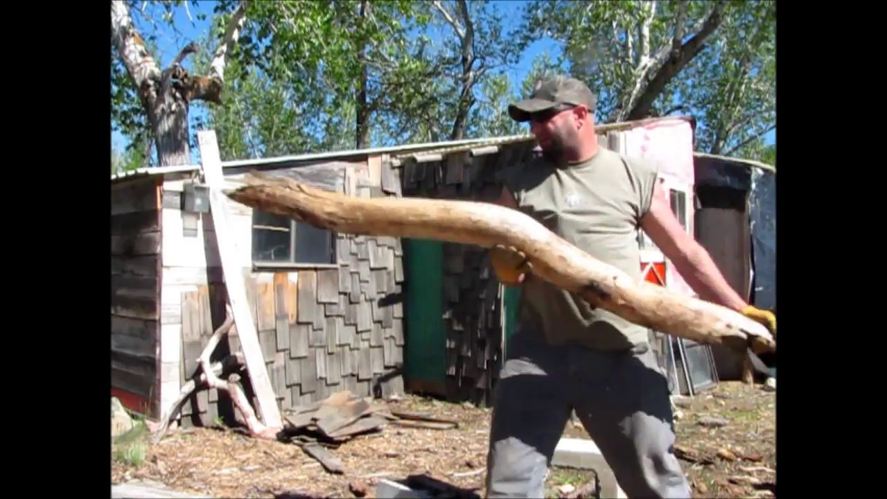 Planting Fruit Trees and Working On The Idaho Hillbilly Homestead #365 ...
