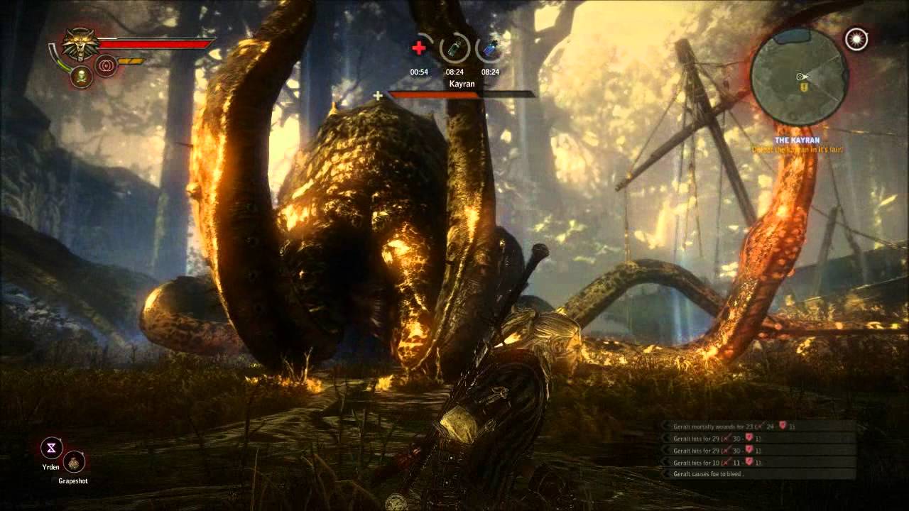 The Witcher 2 - How to kill Kayran (HARD) - YouTube