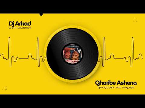 DJ ARKAD & SHAWKEY - GHARIBE ASHENA REMIX