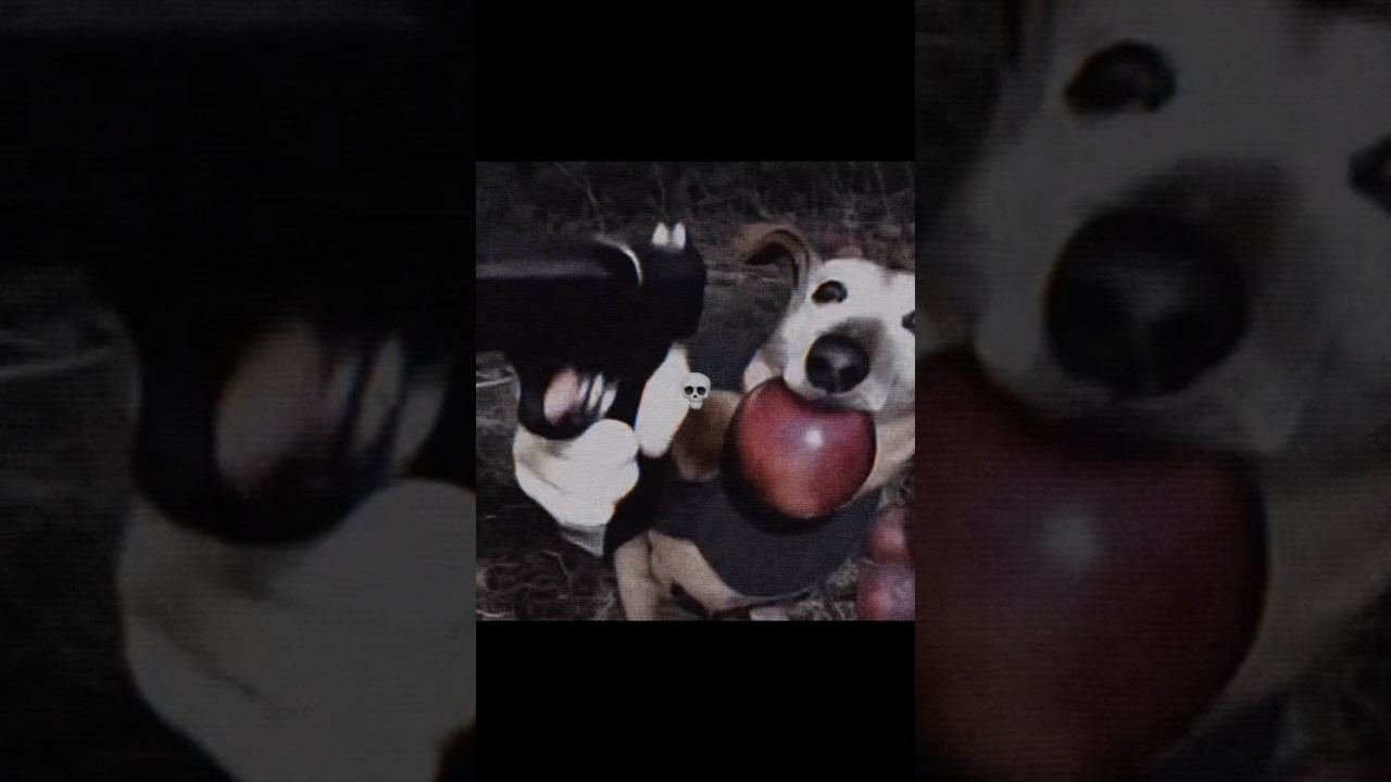 Sigma Dawg 🗿☠️#blowup #edit #foryou #funny #viralvideo #trollface - YouTube