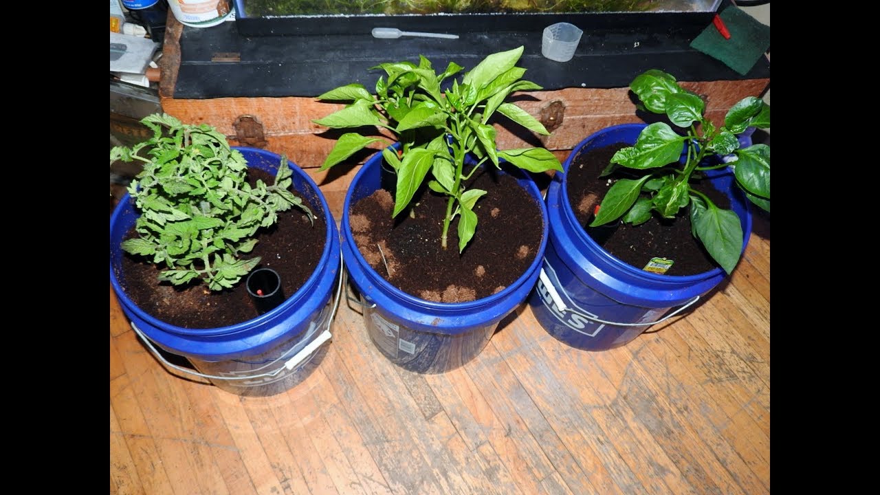 GroBucket Self Watering Planter Unboxing And Set Up - YouTube