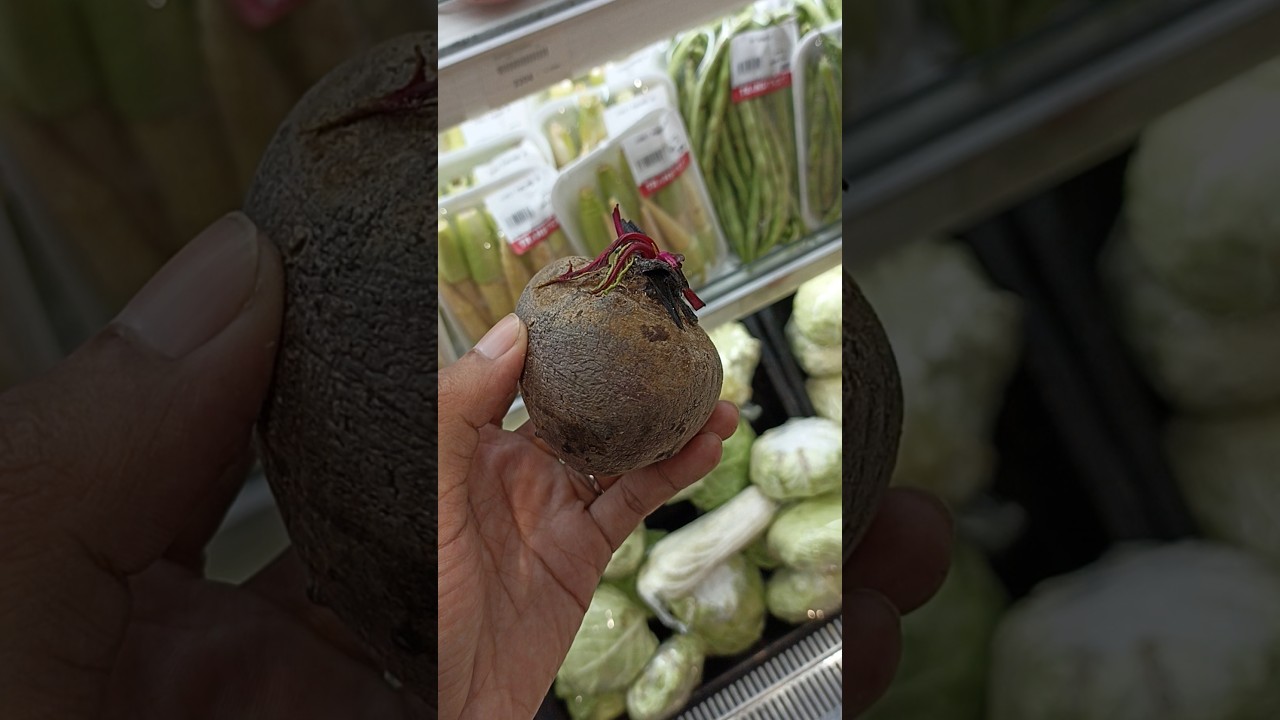 BEETROOT ITU KATEGORI BUAH ATAU SAYUR YA ? - YouTube