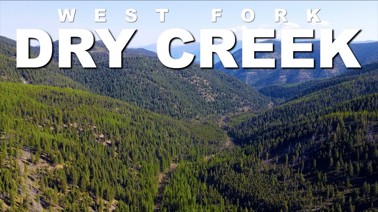 West Fork of Dry Creek | Lolo National Forest, Montana - YouTube