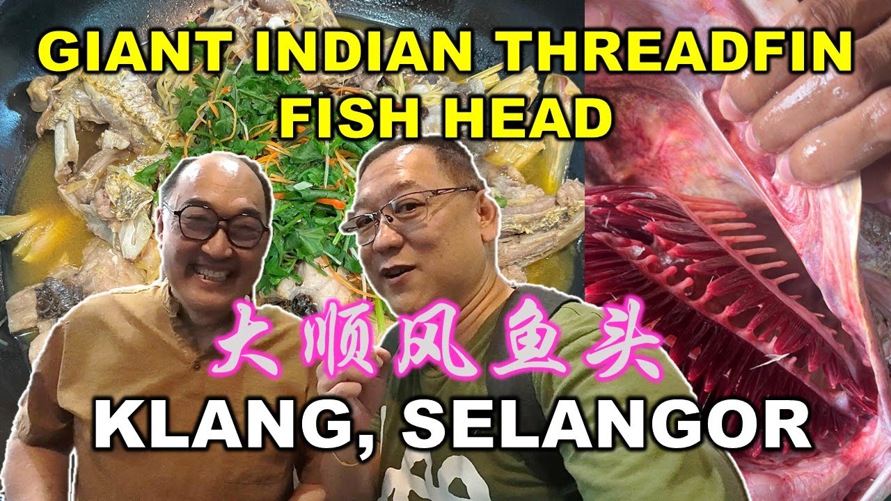Giant Indian Threadfin Fish Head | KURAU | 大顺风鱼头 | RESTORAN SEAFOOD ...