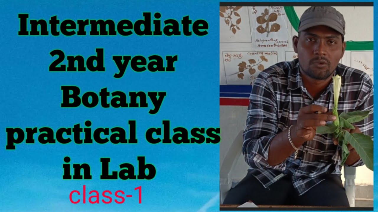 Intermediate 2nd year Botany practical class in Lab part-1 - YouTube