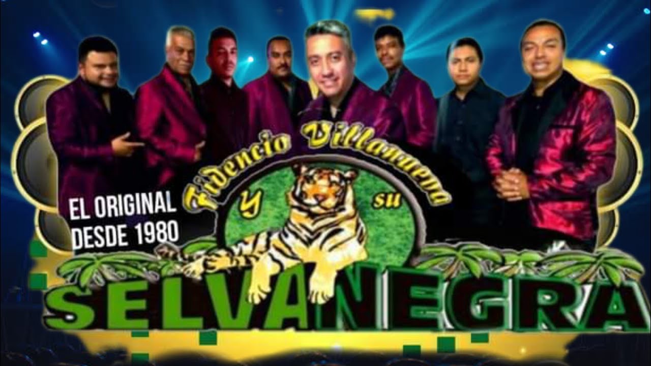 SELVA NEGRA. El Ritmo Salvaje En Xilitla SLP. 2 - YouTube