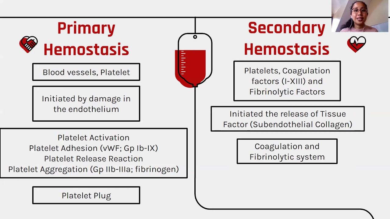Introduction Hemostasis Capillary Fragility Bleeding Time Platelet ...
