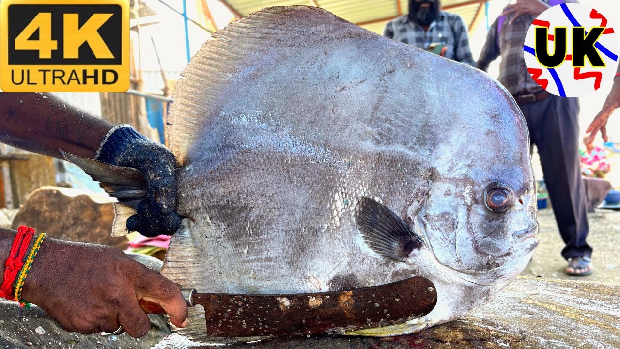 SPADE FISH CUTTING | FISH CUTTING SKILLS | FISH CUTTING VIDEOS # ...