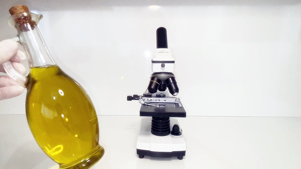 Olive Oil Under a Microscope Lens 🪔🔬 - YouTube