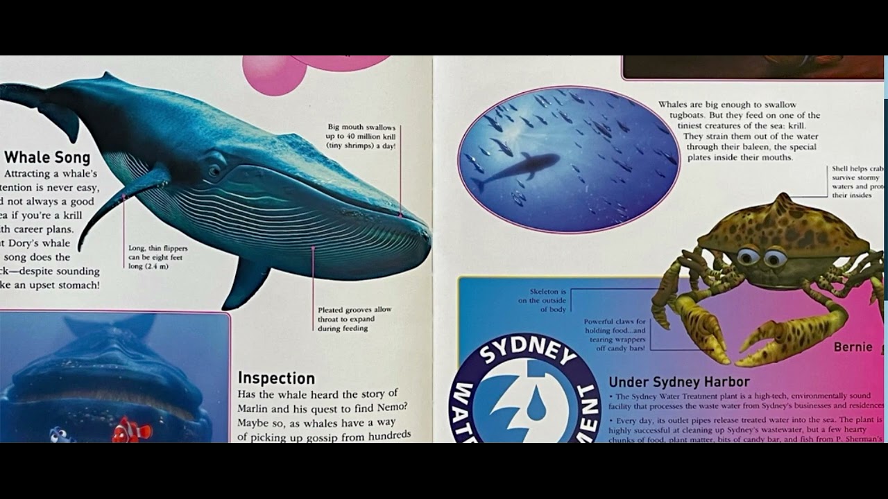 finding Nemo The essential guide books Vincent - YouTube