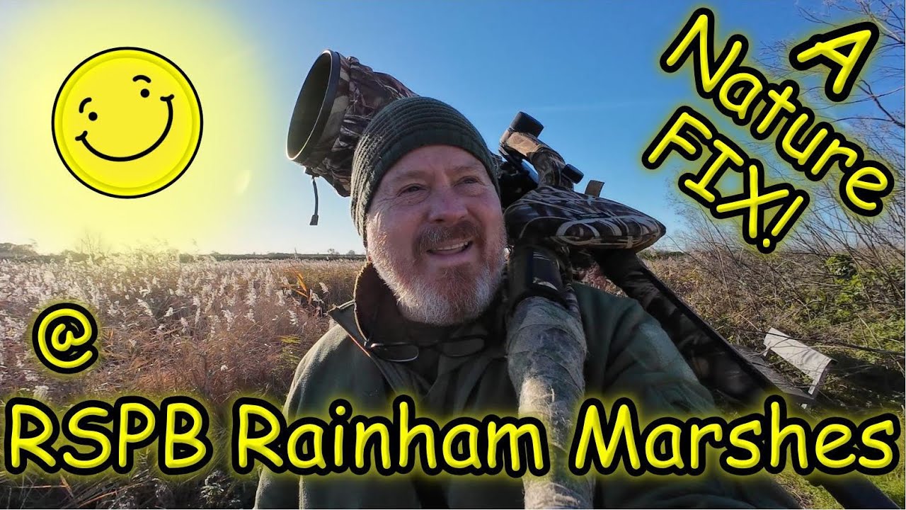 Get your Nature Fix AT RSPB Rainham Marshes! - YouTube