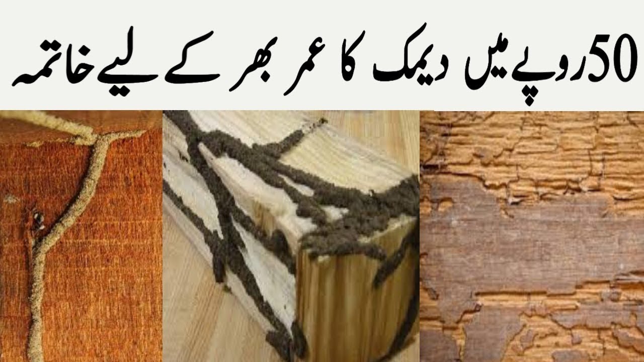 Quick deemak killer | Deemak | deemak ka khatma | deemak control ...
