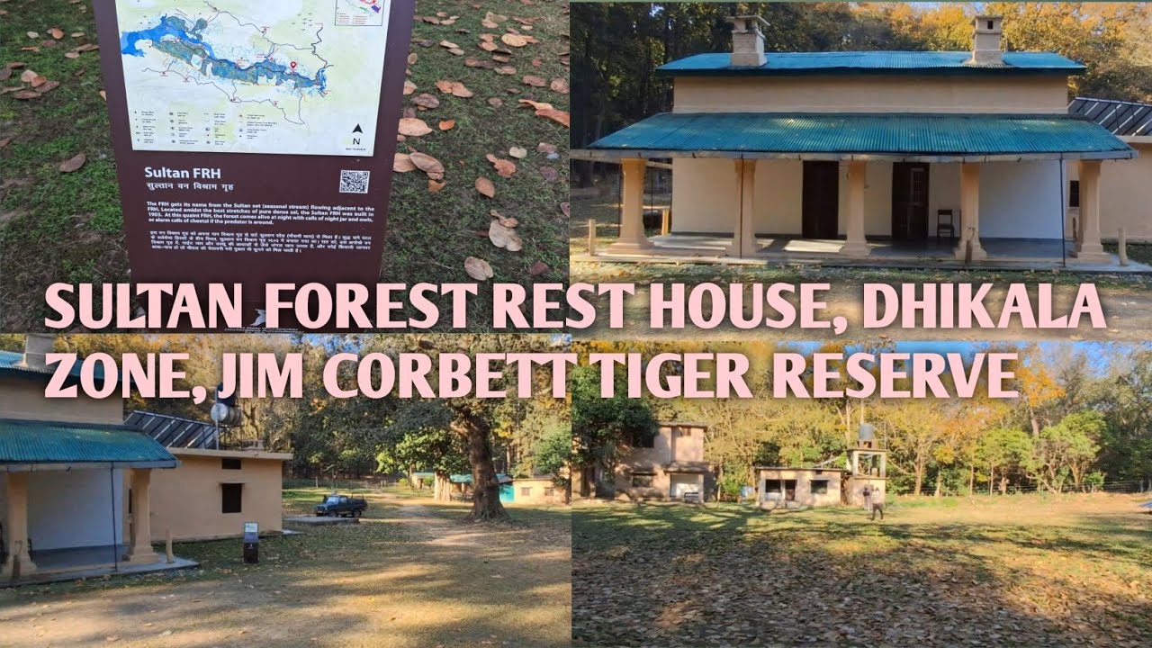 SULTAN FOREST REST HOUSE, DHIKALA ZONE, CORBETT TIGER RESERVE - YouTube