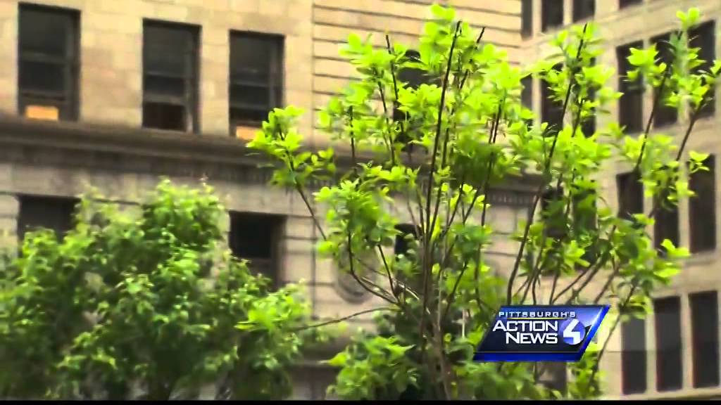 Mellon Square downtown park reopens - YouTube