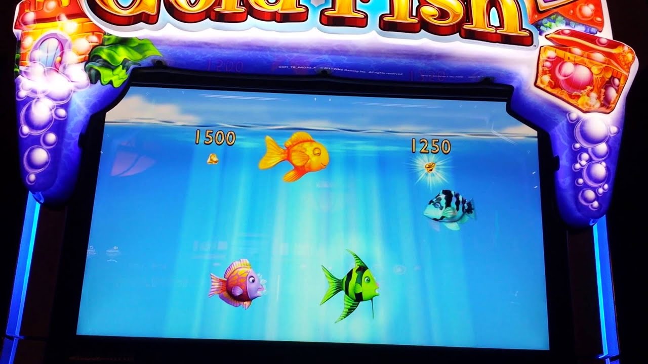 Gold fish 3 slot. Multiply bonus. - YouTube