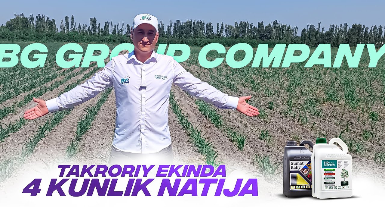 Takroriy ekinda 4 kunlik natijalar #biogutten - YouTube
