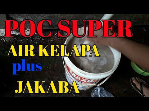 PUPUK ORGANIK CAIR TERBAIK DARI AIR KELAPA DAN JAMUR JAKABA - YouTube