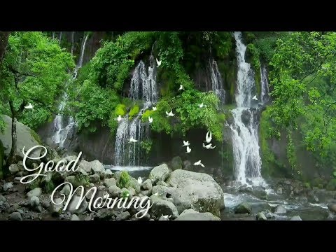 Good morning status | Animation | Good morning videos for whatsapp