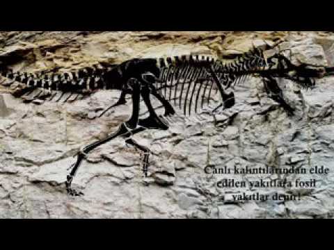 6   Sinif Yakitlar Konu Anlatimi VIDEOARA NET