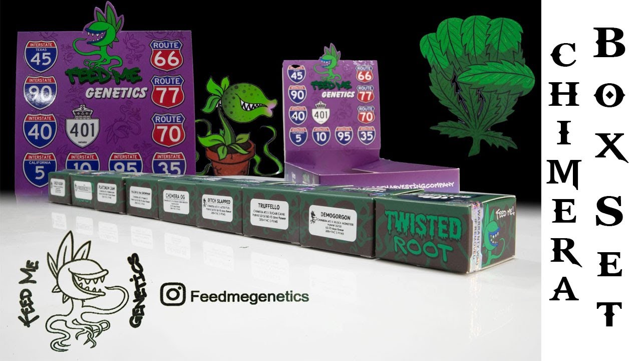 feedme Fan Short Video CHIMERA Box Set - YouTube