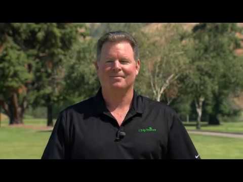 Chip Trainer Introduction from Tom Masucci - YouTube