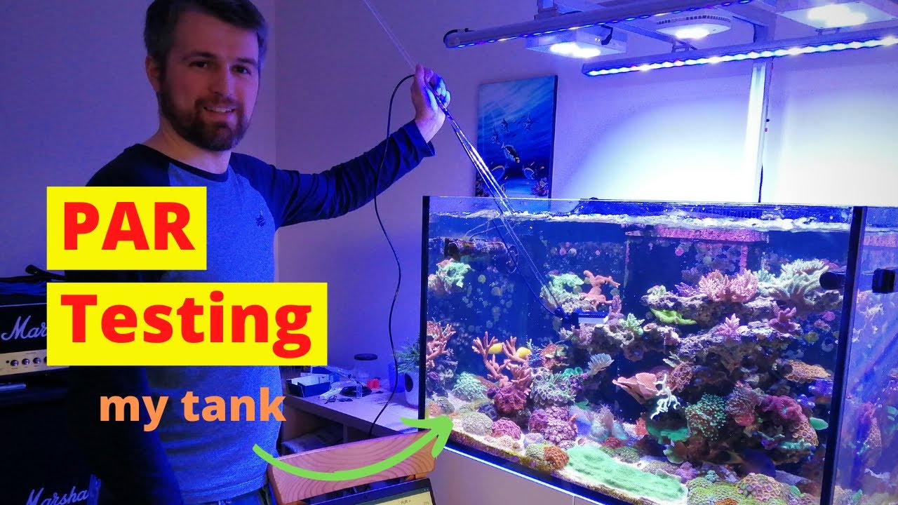 Measuring my reef tank PAR (Is it too high?!) - YouTube