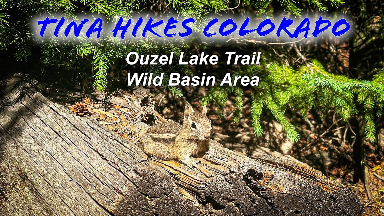 WILD BASIN HIKE to Ouzel Falls and Ouzel Lake in Rocky Mountain ...