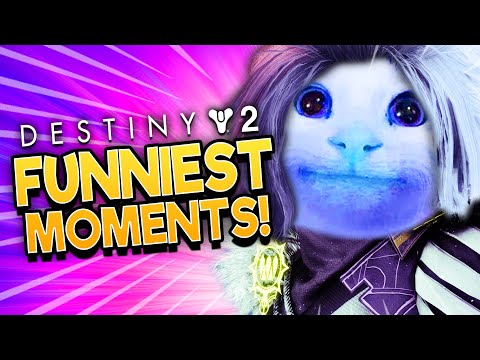 Destiny 2 BEST Funny Moments and Fails! 🤣
