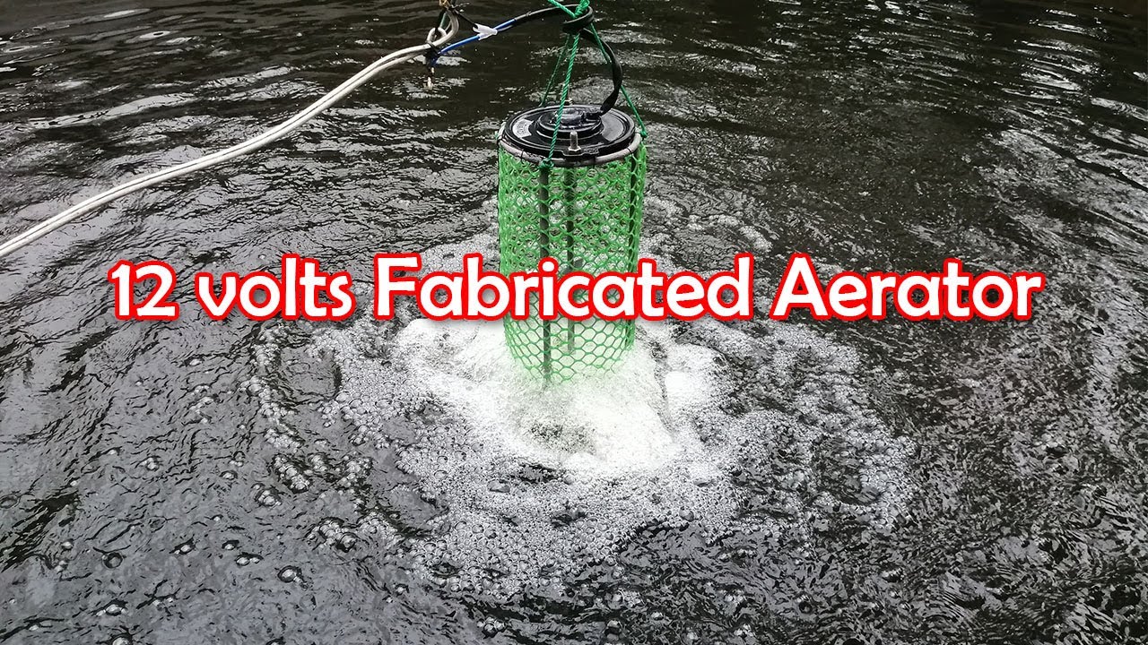 Aerator (fabricated)12v for Aquaculture, Fish farmers, Hatcheries, Live ...