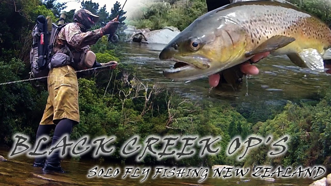 #BLACKCREEKOPS CICADA CHAOS - Big Dry Fly Fishing New Zealand - YouTube