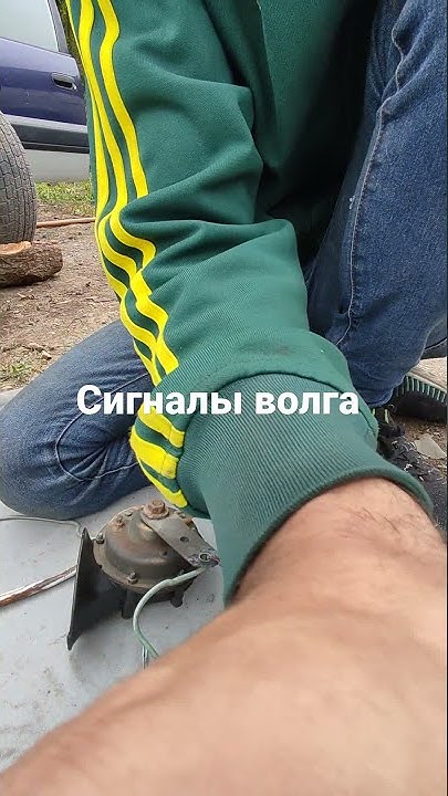 сигналы волга - YouTube