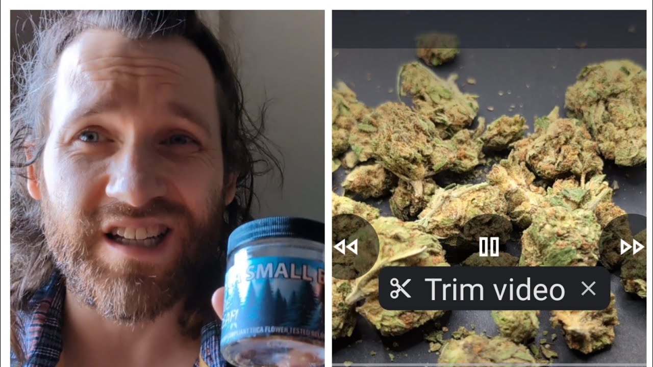 Blue dream Outdoor flower review from THCA small buds this one is ...