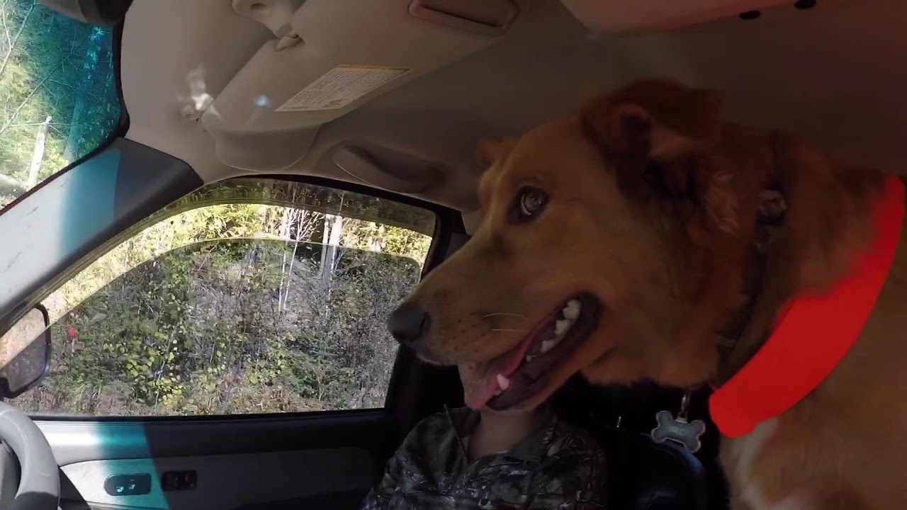 Silverado SS hunting - YouTube