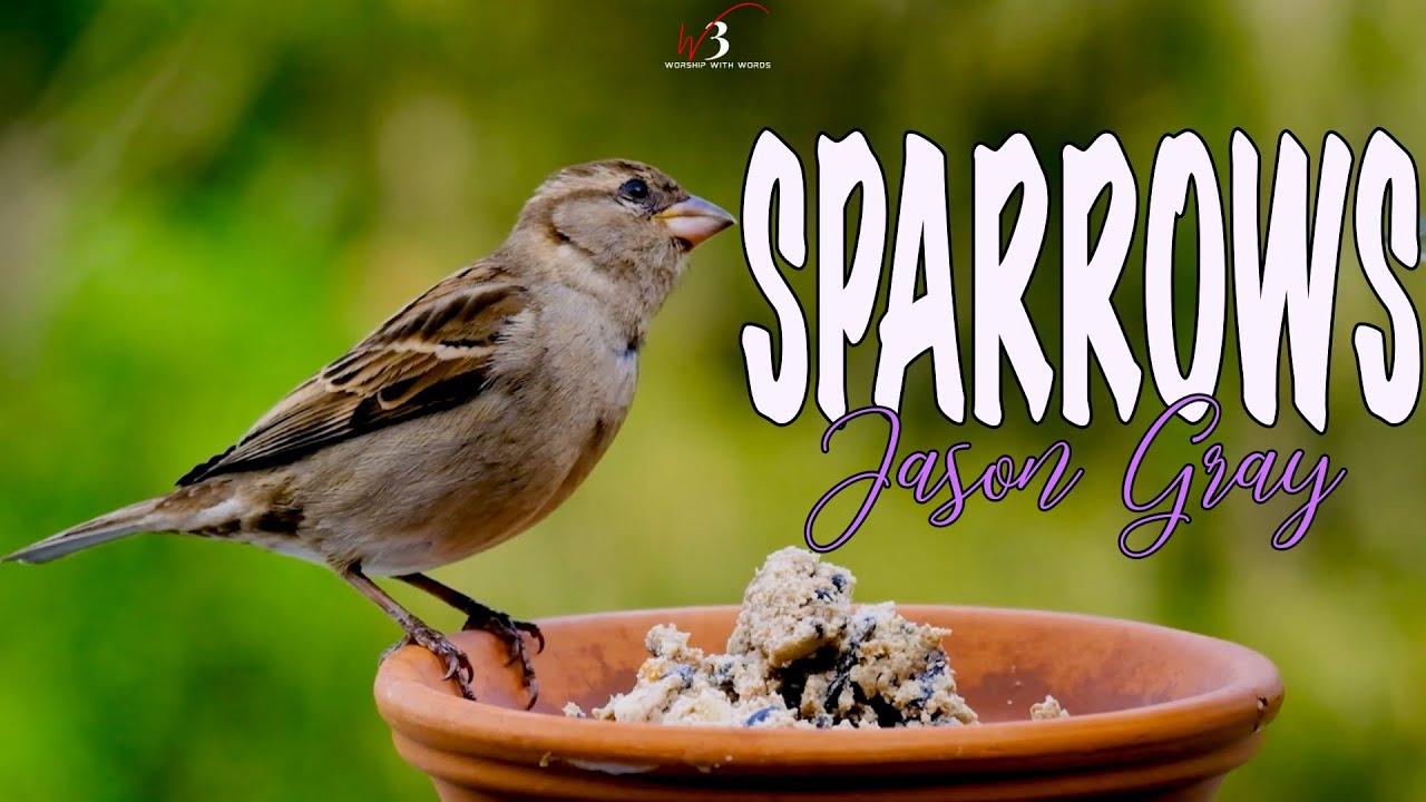 SPARROWS (Lyrics Video) - Jason Gray || Worship With Words - YouTube