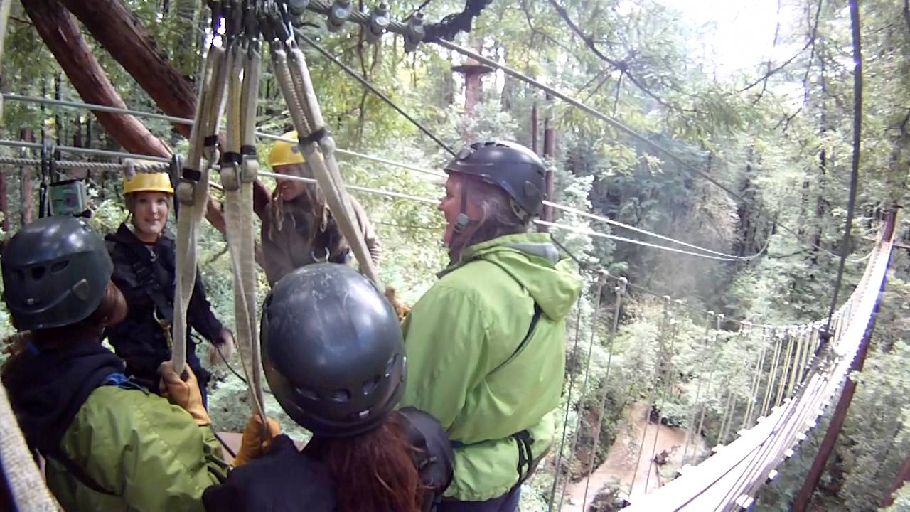 About Redwoods!! Zip Line - YouTube