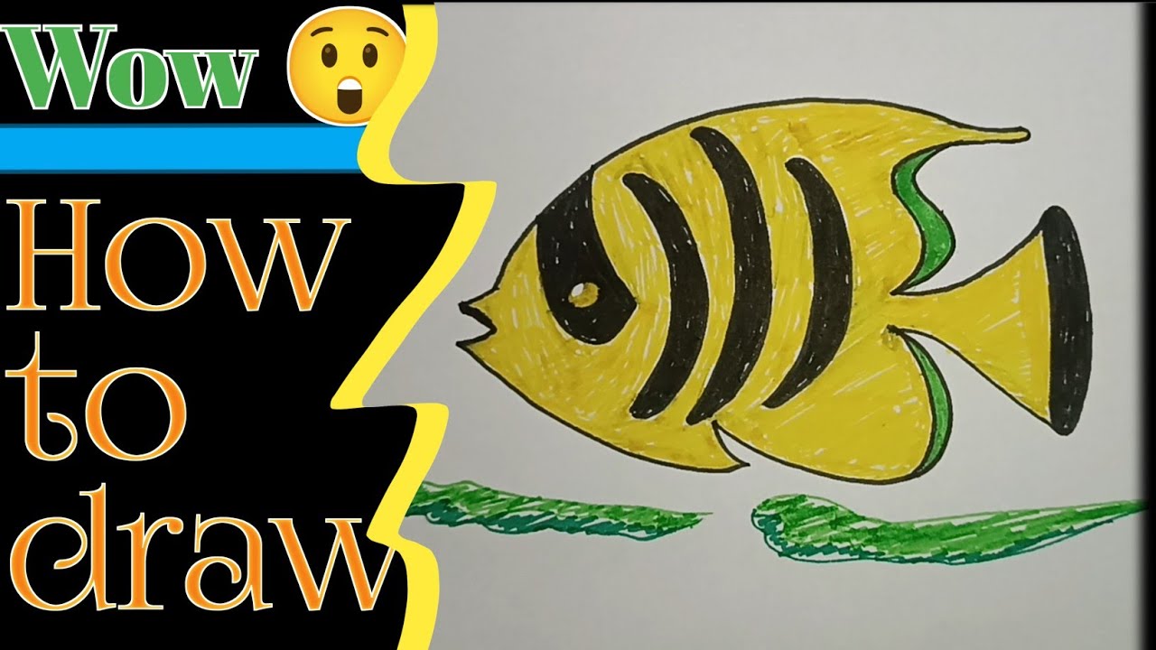 Fish colour drawing video || how to draw a fish - YouTube