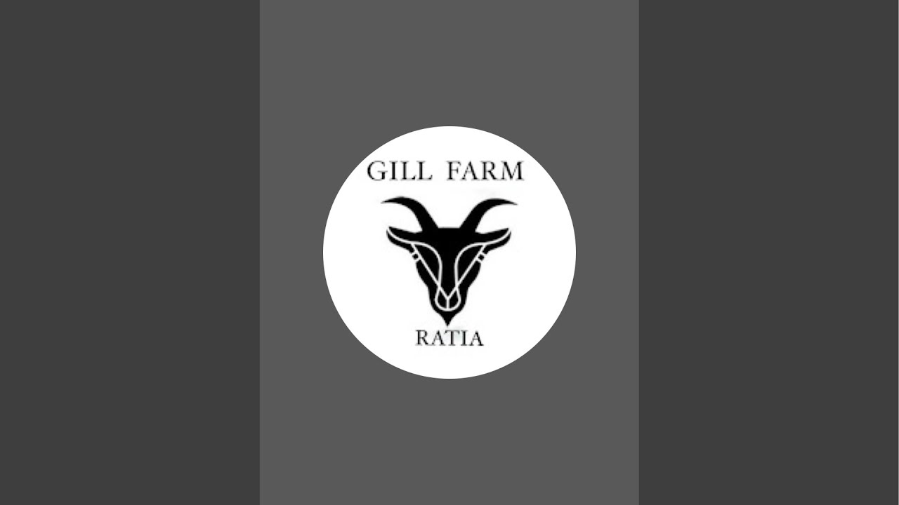 Gill Farm Ratia is live - YouTube