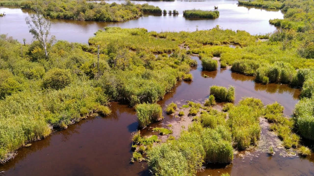 1. Die Bedeutung der Moore - YouTube