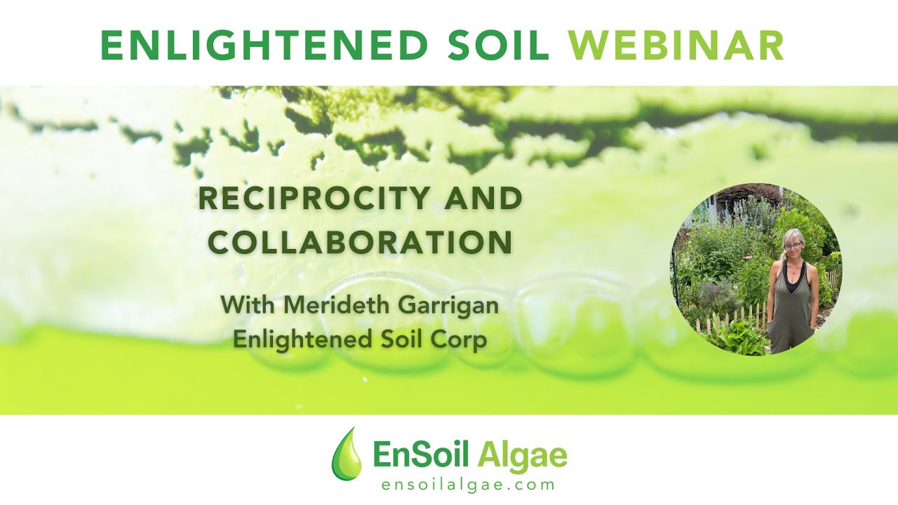 Reciprocity & Collaboration with Merideth Garrigan - YouTube
