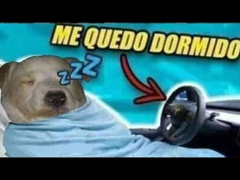 Videos Randoms| Shitpost compilation v58 - YouTube