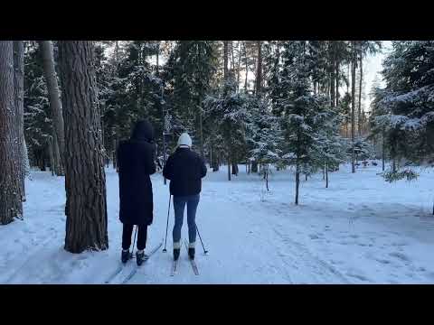 Rusya'da ormanda yürüyüş (Shishkin Forest Part2.) Rus aileler kışı nasıl geçiriyor?