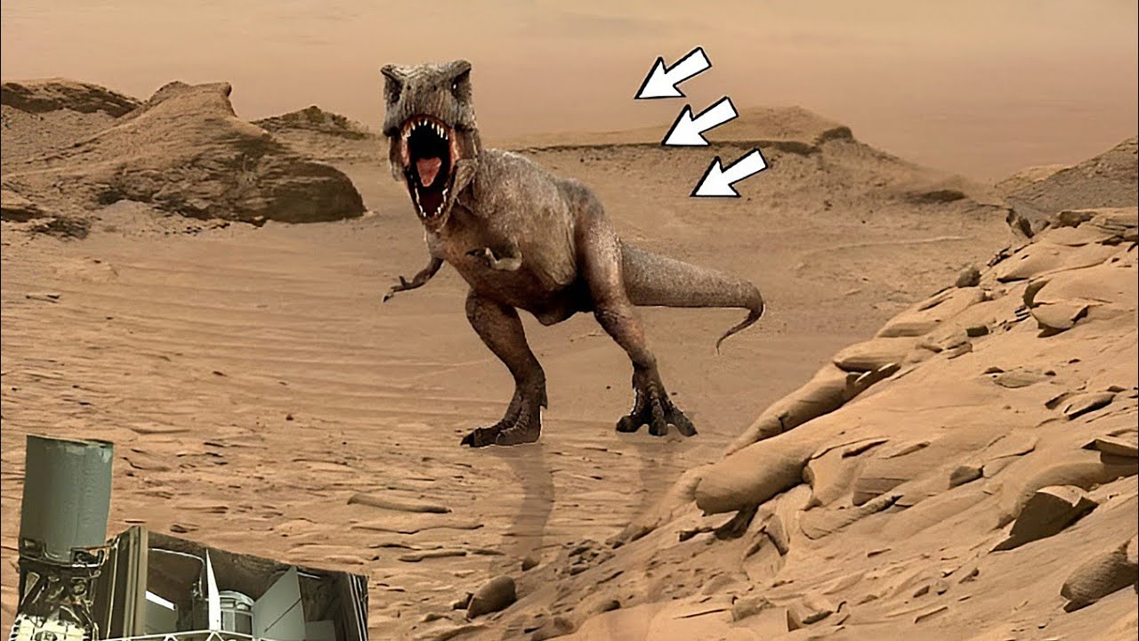 New: Mars in 4k || Mars Latest Stunning Video Footages Recently ...