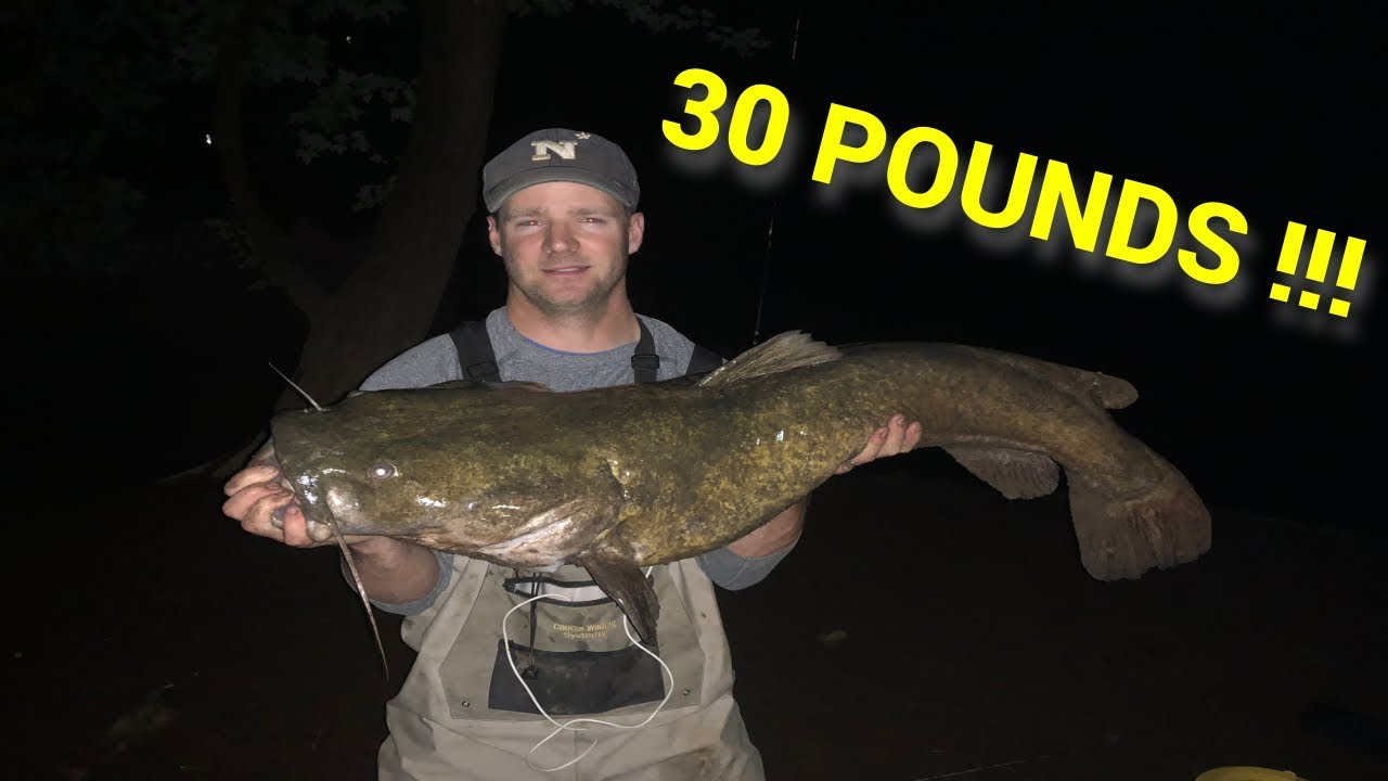 HIGH WATER Bank Fishing for BIG Flathead Catfish (Schuylkill River, PA ...