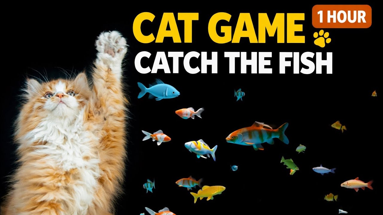 🐟 CAT TV | 1 Hour Cat Game: Catch the Fish! 🐱| video for cats to watch ...