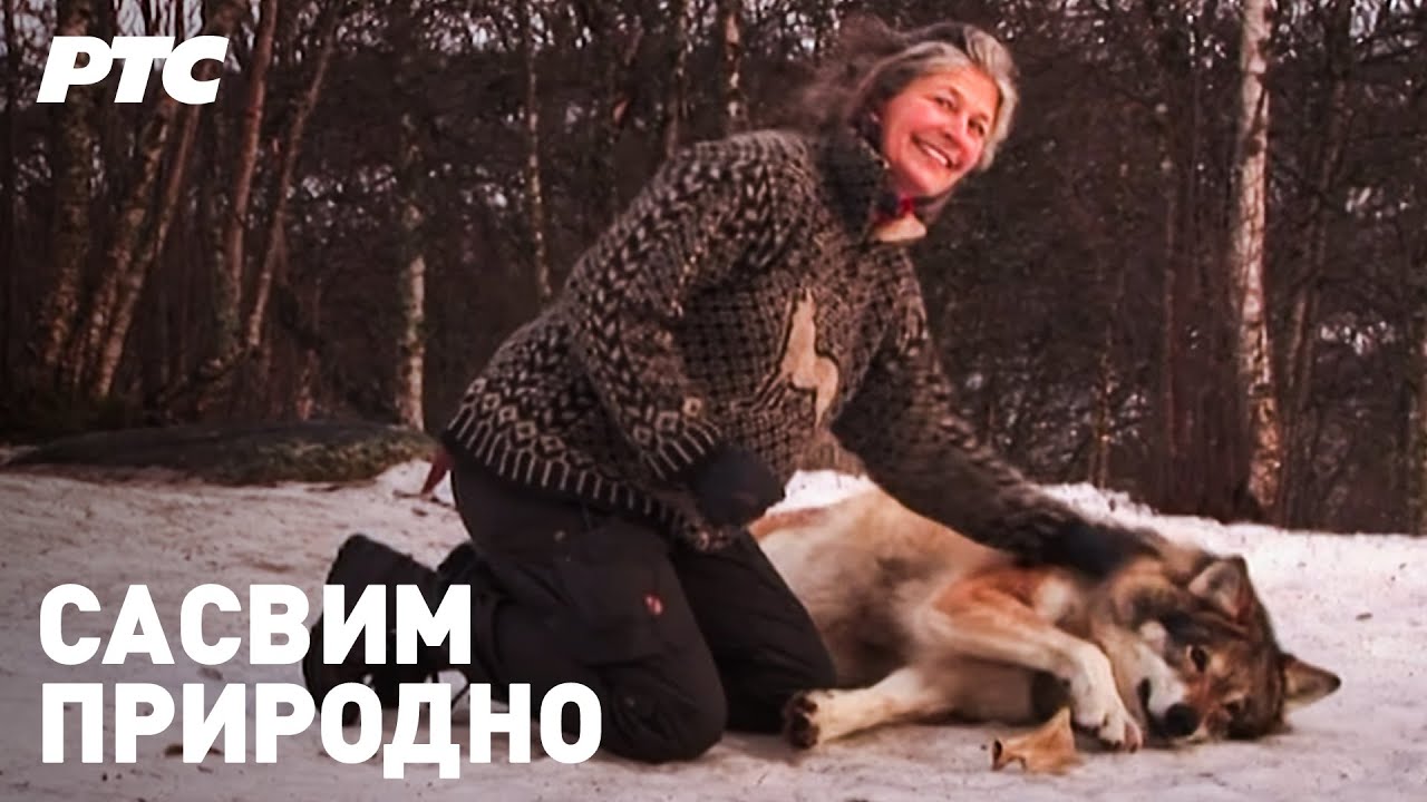 20 godina u prirodi, prvi deo | Sasvim prirodno (Jovan Memedović) - YouTube