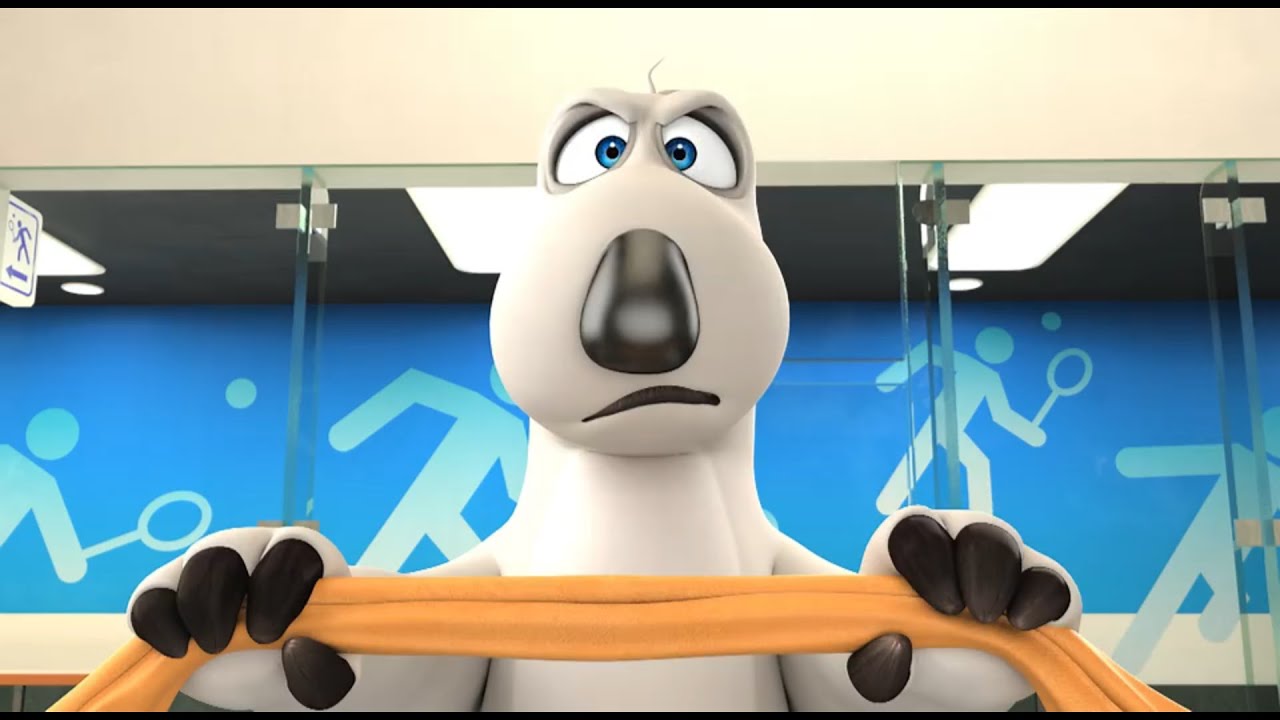 Bernard Bear | Backkom Playing Squash Ball and More | Cartoons for Kids ...