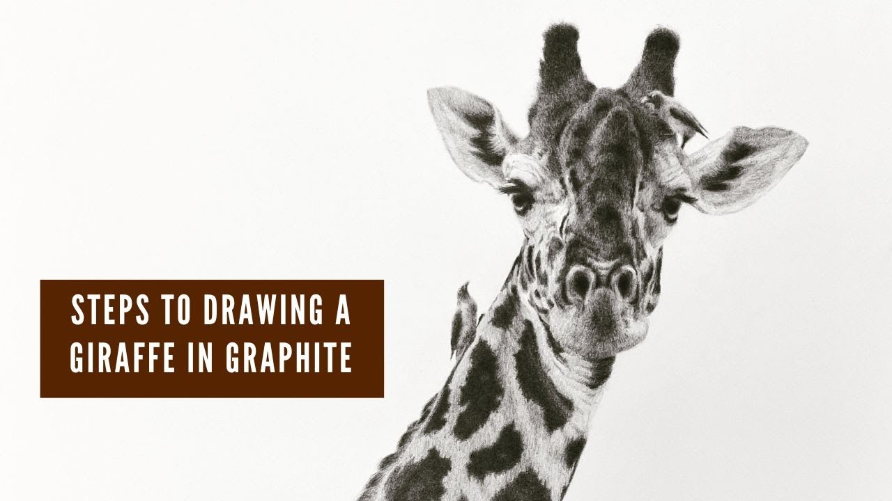 Giraffe in Graphite - YouTube