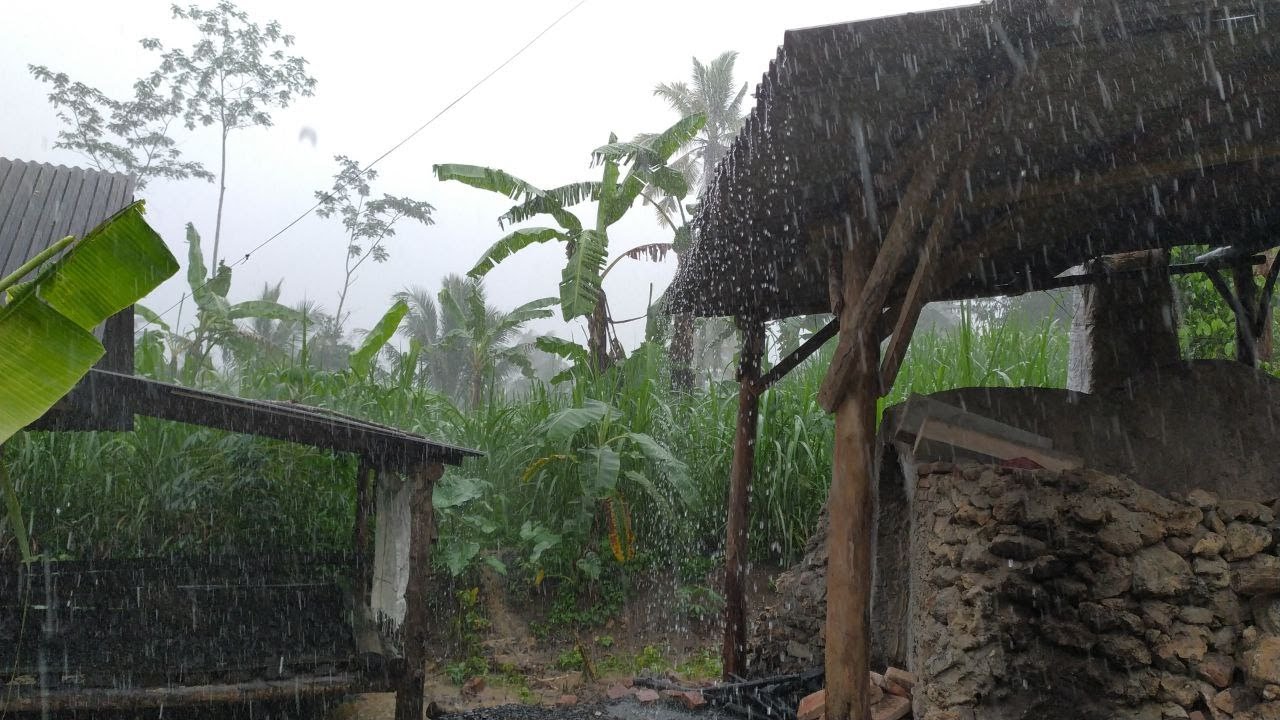 Walking in super heavy rain accompanied by thunder, beautiful rainforest village #3 - YouTube